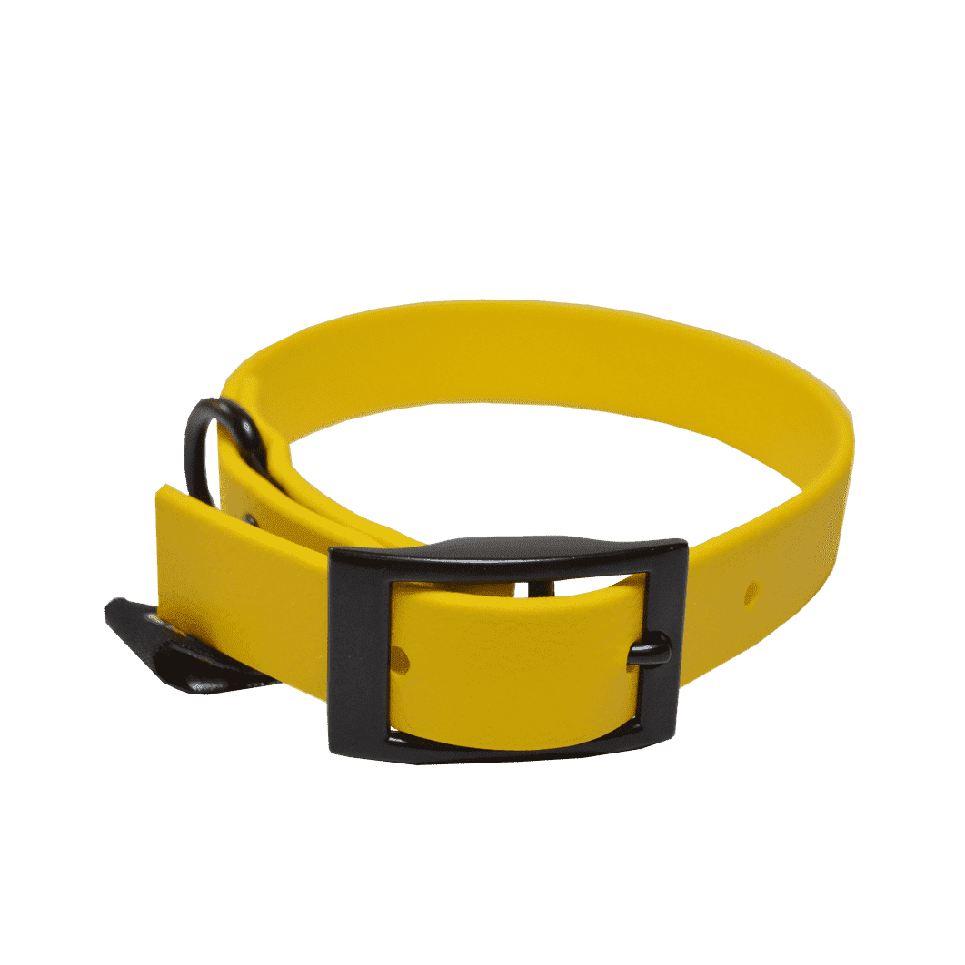 Tail Collar Elementals - Amarillo – Tail Society