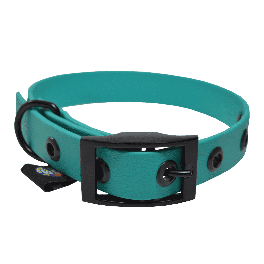 Tail Collar Elementals - Aqua – Tail Society
