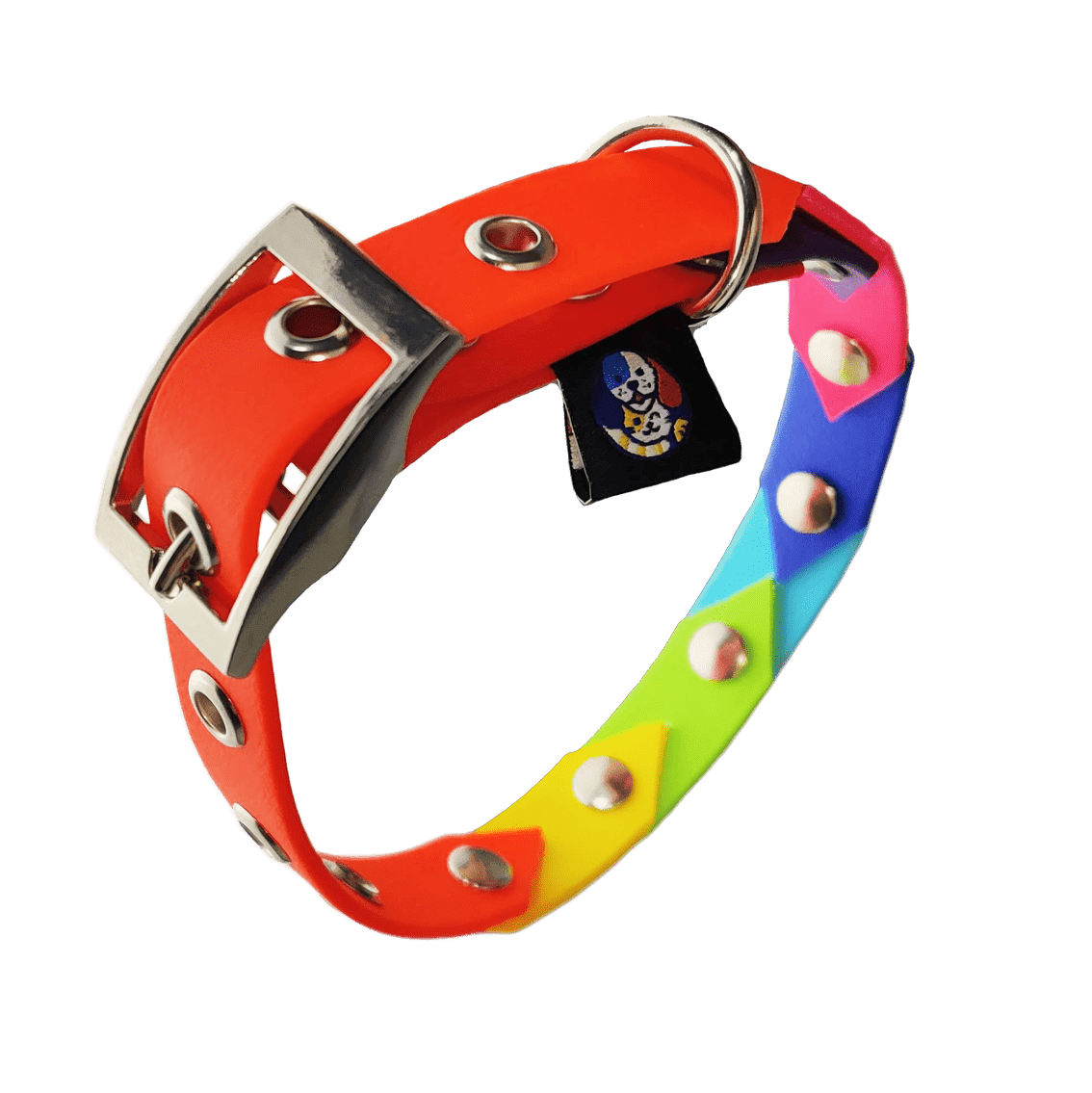 Rainbow Tail Collar - Summer Edition – Tail Society