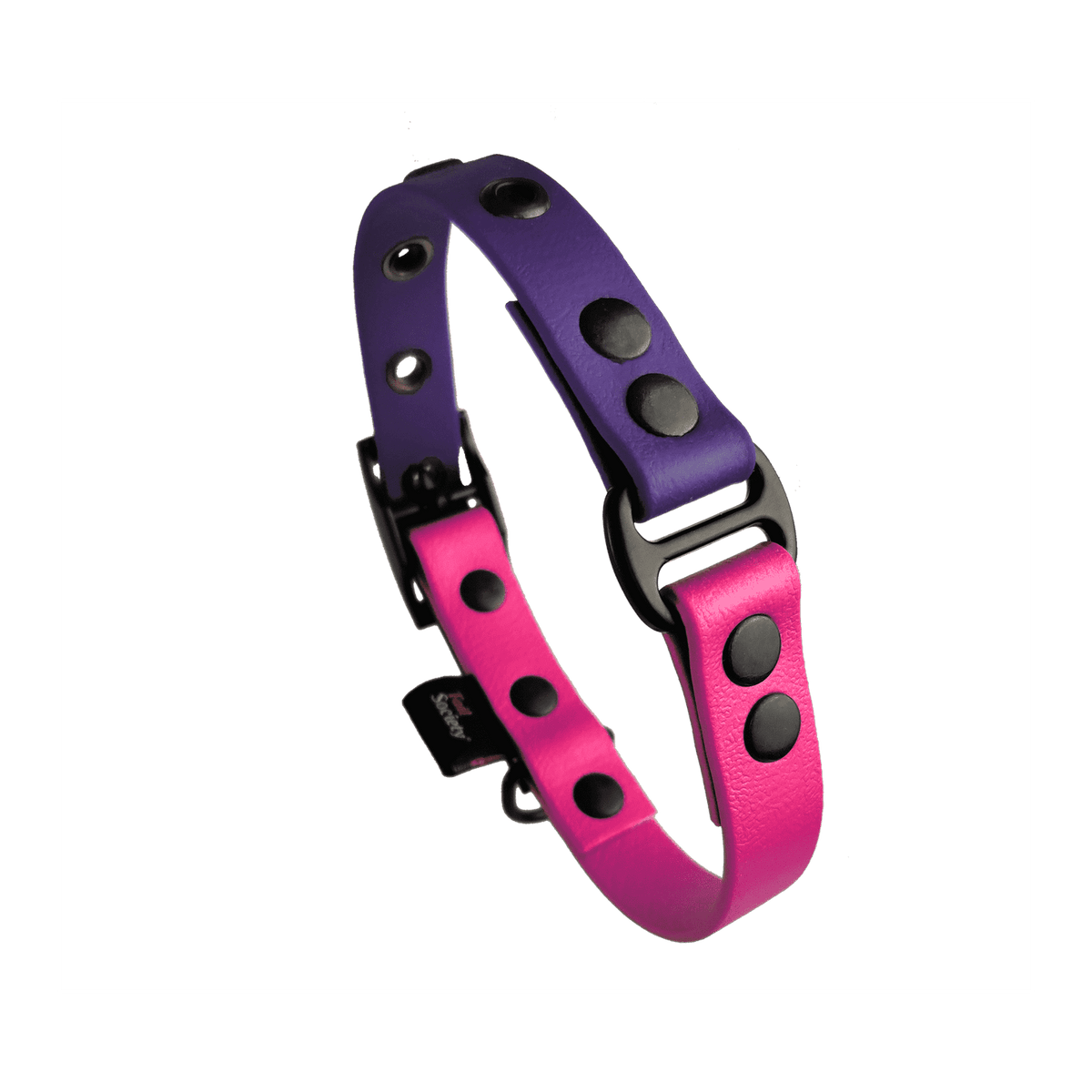 Tail Collar Duo - Stargazer – Tail Society